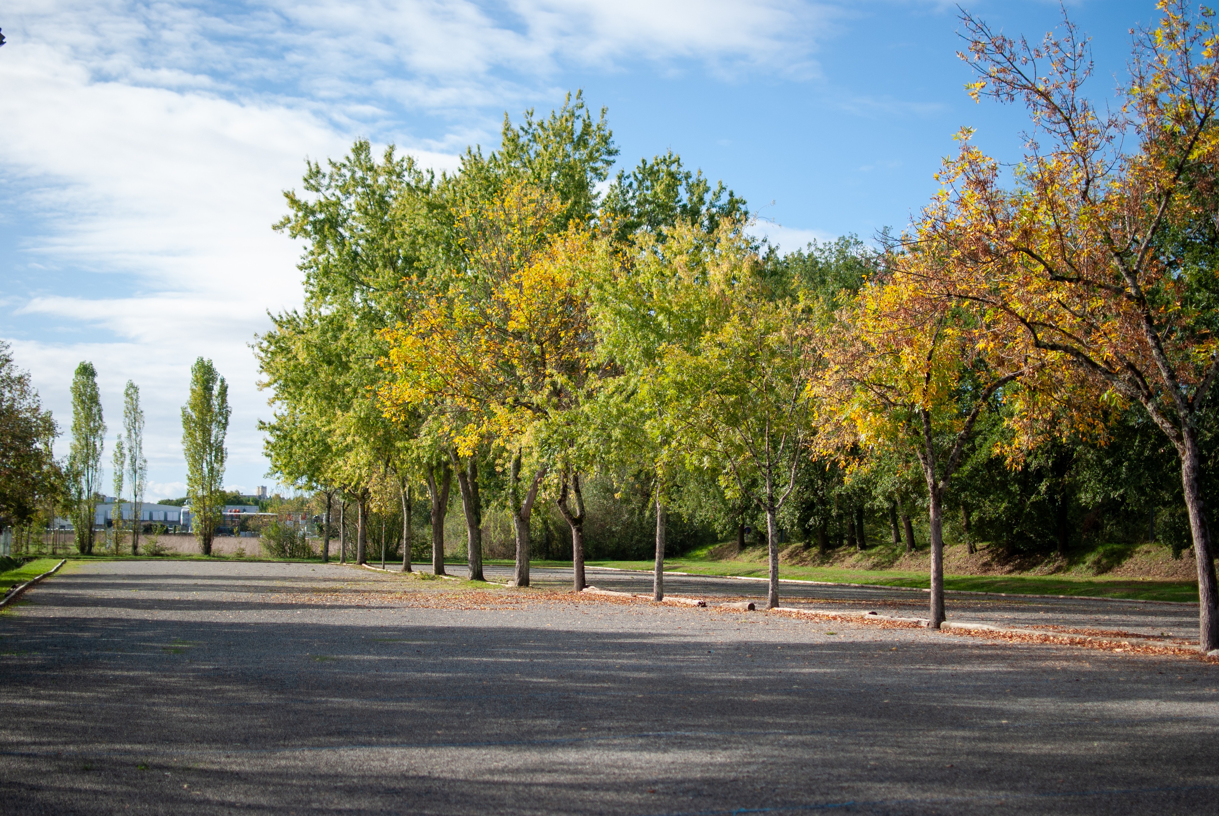CD32 : Championnat du Gers TT MASCULIN